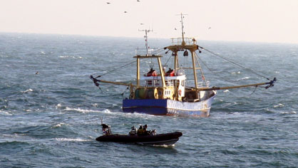 Marine Management Organisation Logo