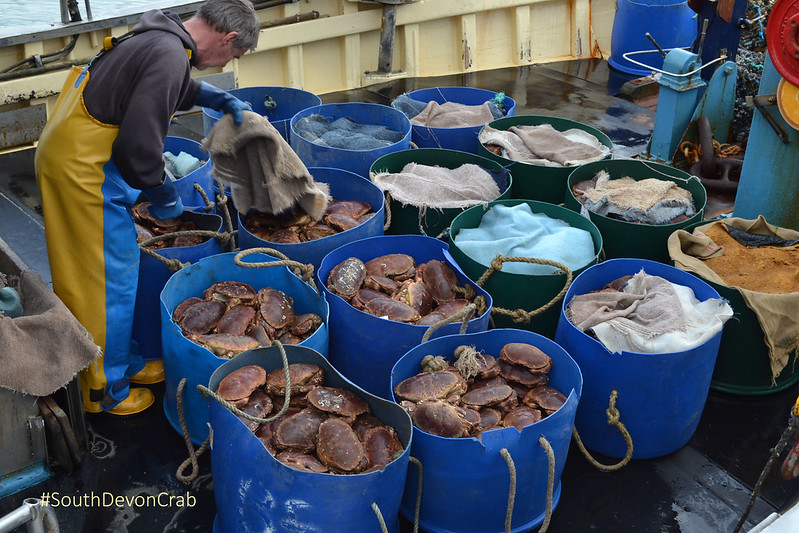 Impact of Coronavirus on Fishing - NFFO