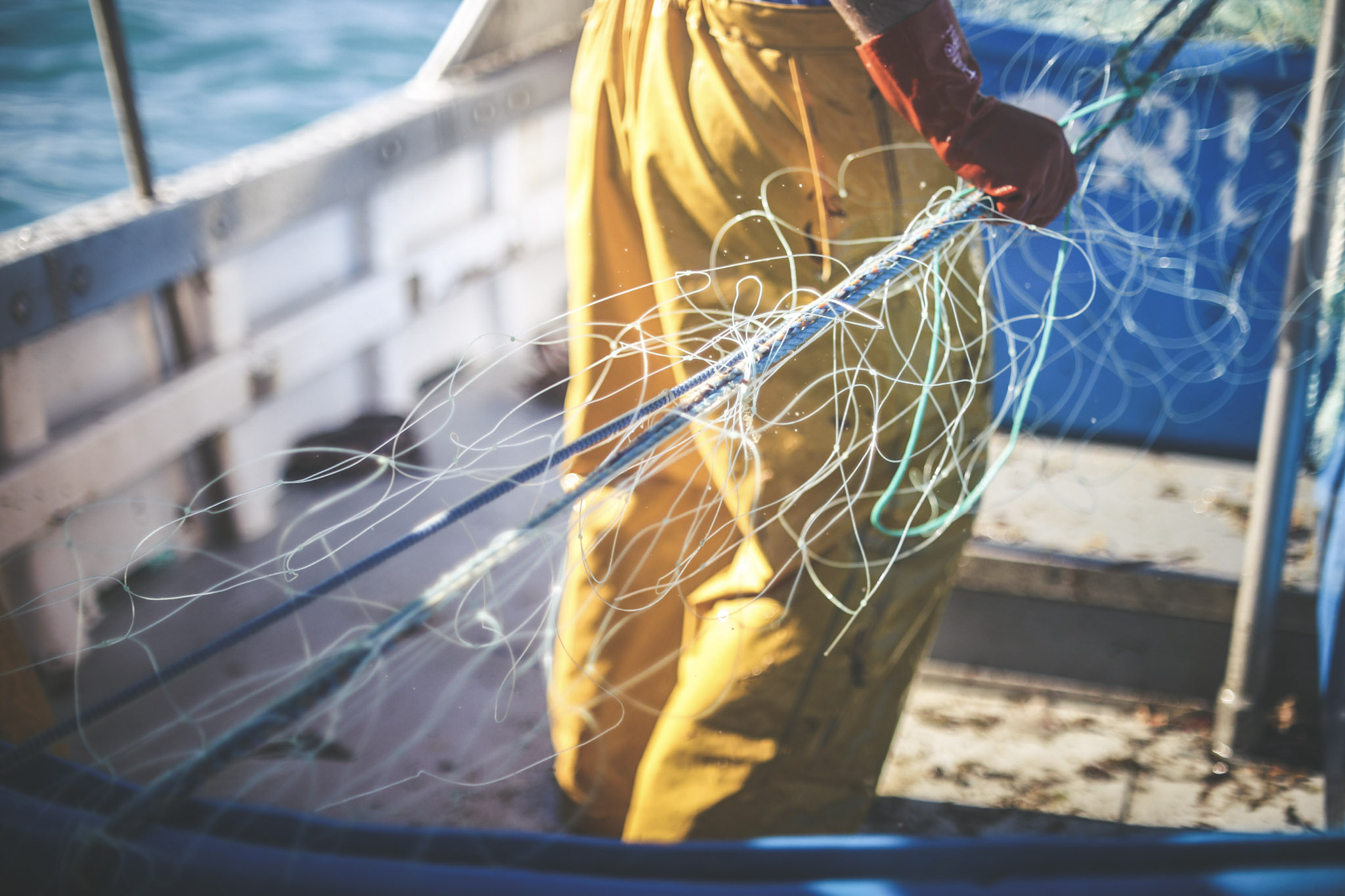 Covid-Safe Fishing: Adapting to the New Conditions - NFFO