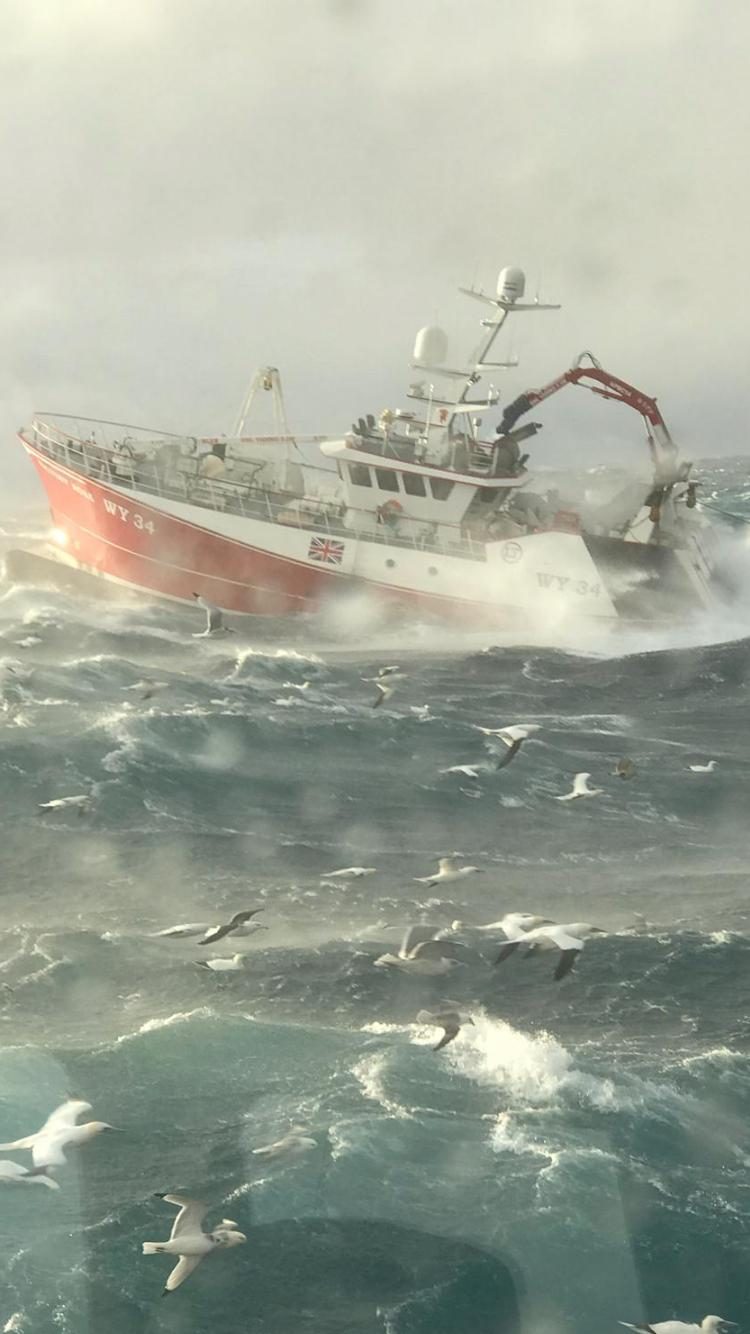 NFFO comment on 19th May UK-EU ‘reset’ summit - NFFO